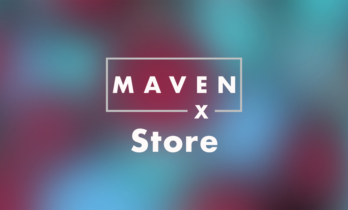 PCI 4.0 RACI Chart - Pre-filled PCI Template - Maven X Store